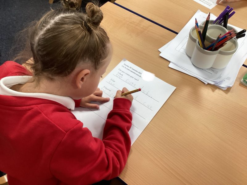 Expanded noun phrases | Birkwood Primary School