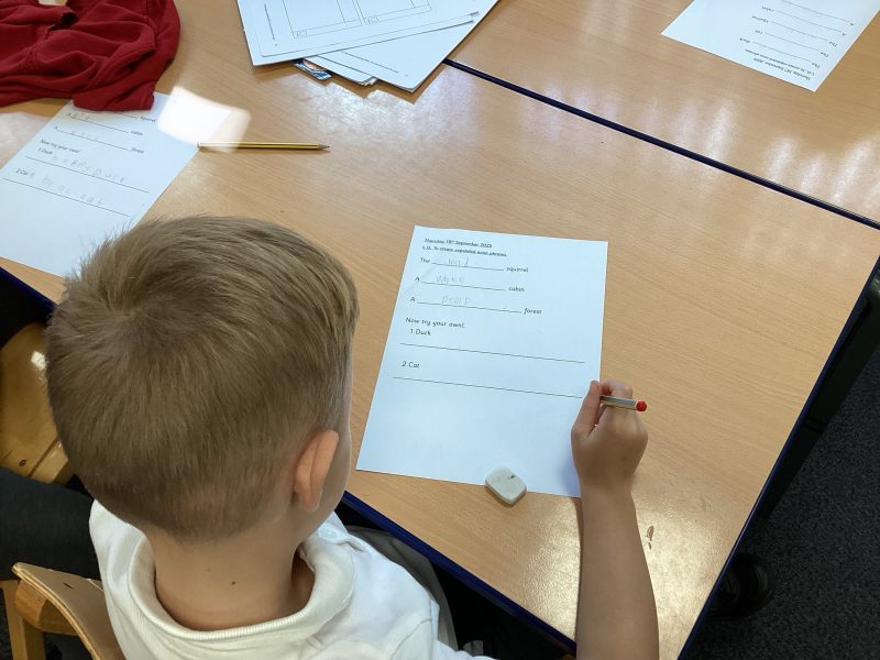 Expanded noun phrases | Birkwood Primary School