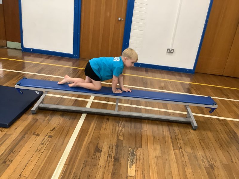 Gymnastics | Birkwood Primary School