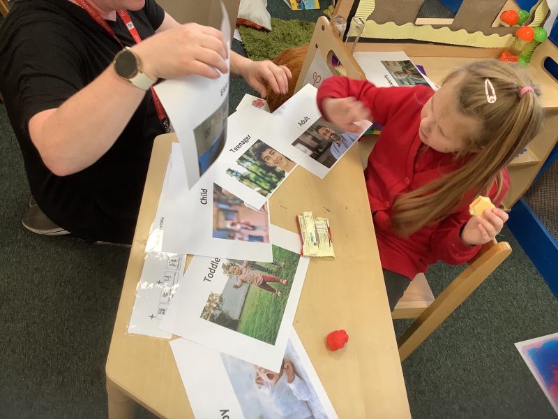 The Human Lifecycle | Birkwood Primary School